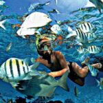 Reef Snorkel & Ocean Paddle Adventure in Fort Lauderdale Beach - The Itinerary: What to Expect