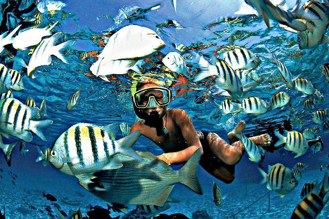 Reef Snorkel & Ocean Paddle Adventure in Fort Lauderdale Beach - The Itinerary: What to Expect
