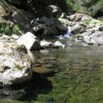 Referta Castelejo Levada Walk from Funchal - The Itinerary in Detail