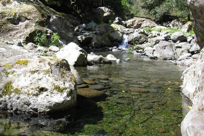 Referta Castelejo Levada Walk from Funchal - The Itinerary in Detail