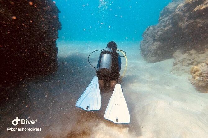 Refresher Scuba Dive - Why We Like This Tour