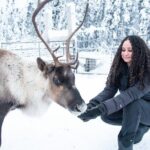 Reindeer and Snowmobile Day Trip to Borealis Basecamp with Lunch - Setting the Scene: What to Expect from the Tour