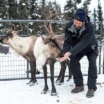 Reindeer Meet and Greet - A Deep Dive into the Reindeer Meet and Greet Experience