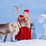 Reindeer Sleigh Ride and Farm Experience from Rovaniemi - Analyzing the Value