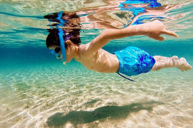 Relaxing and fun Ibiza chill cruiser half day tour all included - Drinks and Food