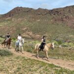 Relaxing Horse Riding Tour in Gran Canaria - Final Thoughts: Is It Worth It?
