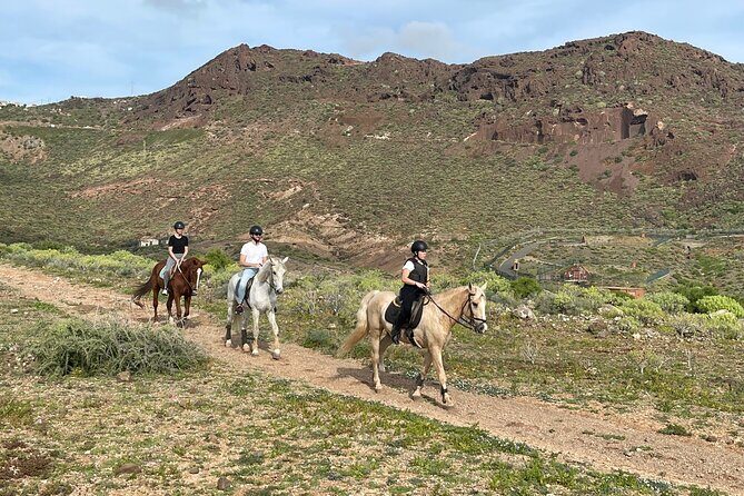 Relaxing Horse Riding Tour in Gran Canaria - Final Thoughts: Is It Worth It?