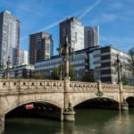 Rent a Kayak in Wijnhaven, Rotterdam - Wildlife and Nature Encounters