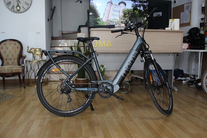 rent E-Bikes for a Day - The Rental Experience: What to Expect