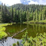 Retezat National Park: Full day hike from Cluj Napoca - Who Will Love This Tour?