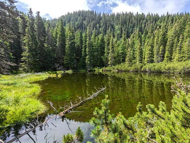Retezat National Park: Full day hike from Cluj Napoca - Who Will Love This Tour?