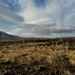 Reykjanes peninsula- Geopark and much more. Private tour - What Makes This Tour Stand Out?