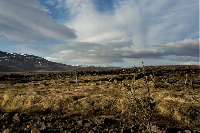 Reykjanes peninsula- Geopark and much more. Private tour - What Makes This Tour Stand Out?