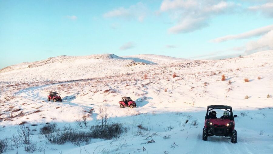 Reykjavik: Buggy Safari Tour with Hotel Transfers - The Experience in Practice: Authentic Reviews and Insights