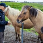 Reykjavik: Golden Circle with Laugarvatn Fontana Admission - Value and Practicalities