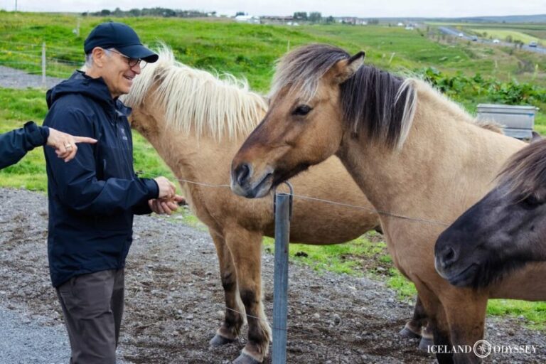 Reykjavik: Golden Circle with Laugarvatn Fontana Admission - Value and Practicalities