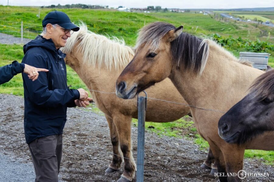 Reykjavik: Golden Circle with Laugarvatn Fontana Admission - Value and Practicalities