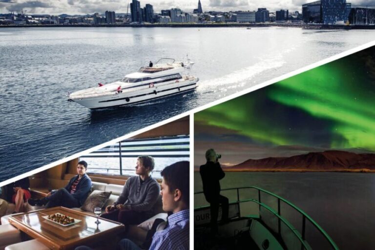 Reykjavik: Northern Lights Motor Yacht Cruise - Who Is This Tour Best For?