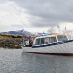 Reykjavik Shore Excursion: Puffin Sightseeing Cruise - Who Should Consider This Tour?