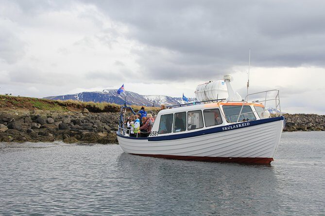 Reykjavik Shore Excursion: Puffin Sightseeing Cruise - Who Should Consider This Tour?