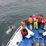 Reykjavik: the Original 3-Hour Whale Watching Tour - What Travelers Love About This Tour