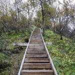 Reykjavik: Thorsmork Valley and Gigjokull Glacier Tour - Who Will Love This Tour?