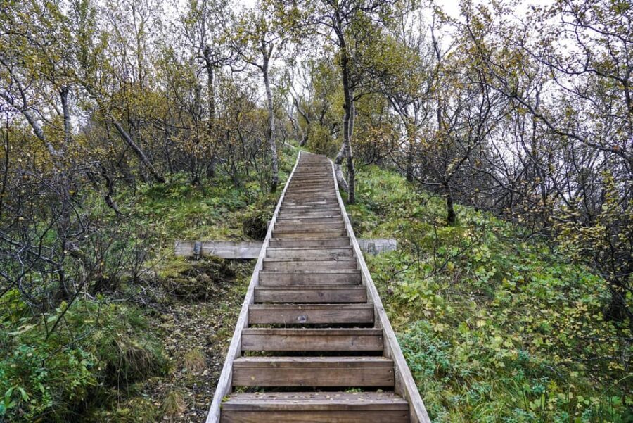 Reykjavik: Thorsmork Valley and Gigjokull Glacier Tour - Who Will Love This Tour?
