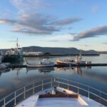 Reykjavik: Whale Watching and Dolphin Watching Yacht Cruise - Who Should Book This Tour?
