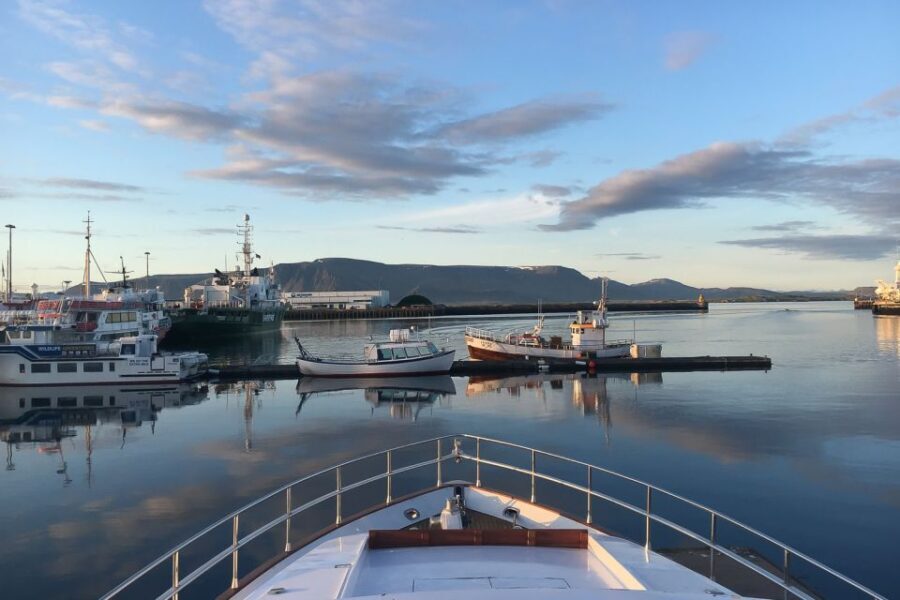 Reykjavik: Whale Watching and Dolphin Watching Yacht Cruise - Who Should Book This Tour?