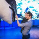 Reykjavik: Whale Watching Tour, Whales of Iceland Exhibition - Whats Included and Whats Not