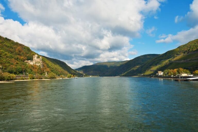 Rhine Valley Castles: 1.5-Hour Boat Tour from Rüdesheim - The Itinerary and Highlights