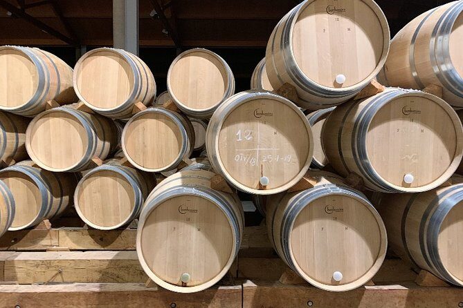 Ribera del Duero Small Group Tour: Tapas & Wine Tasting - The Itinerary: What to Expect