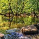 Richmond: Guided Hike in James River Park - The Experience: Why It Works