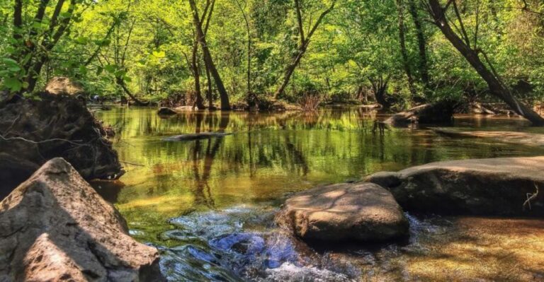 Richmond: Guided Hike in James River Park - The Experience: Why It Works