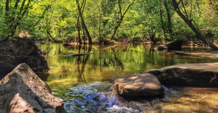 Richmond: Guided Hike in James River Park - The Experience: Why It Works