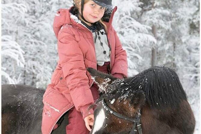Riding Tour with Finnhorses at Santa Claus Village - Itinerary Breakdown