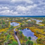 Riga: Best of Kemeri National Park In One Day - An Itinerary Built for Natural Enthusiasts