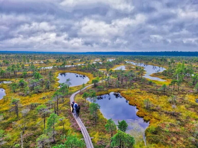 Riga: Best of Kemeri National Park In One Day - An Itinerary Built for Natural Enthusiasts