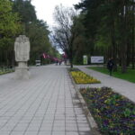 Riga: Green Spaces Bike Tour with Mezaparks and Old Town - What Travelers Say