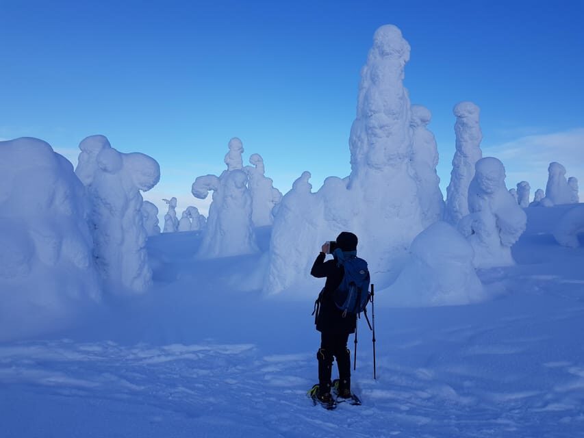 Riisitunturi National Park Snowshoe Experience - Authentic Finnish Wilderness and Small Group Charm