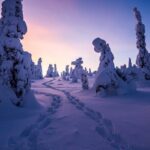 Riisitunturi wilderness adventure - The Sum Up