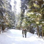 Rila Mountain Winter Day Trip - Embarking on the Rila Mountain Winter Day Trip