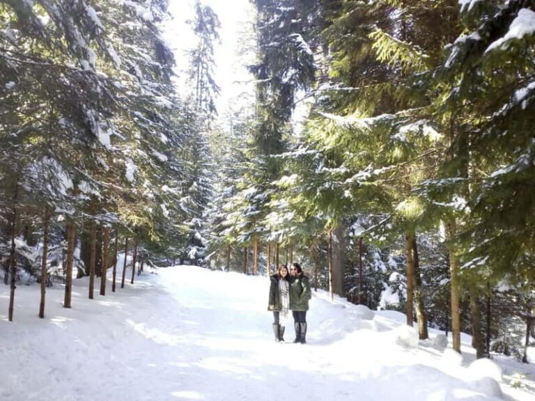 Rila Mountain Winter Day Trip - Embarking on the Rila Mountain Winter Day Trip