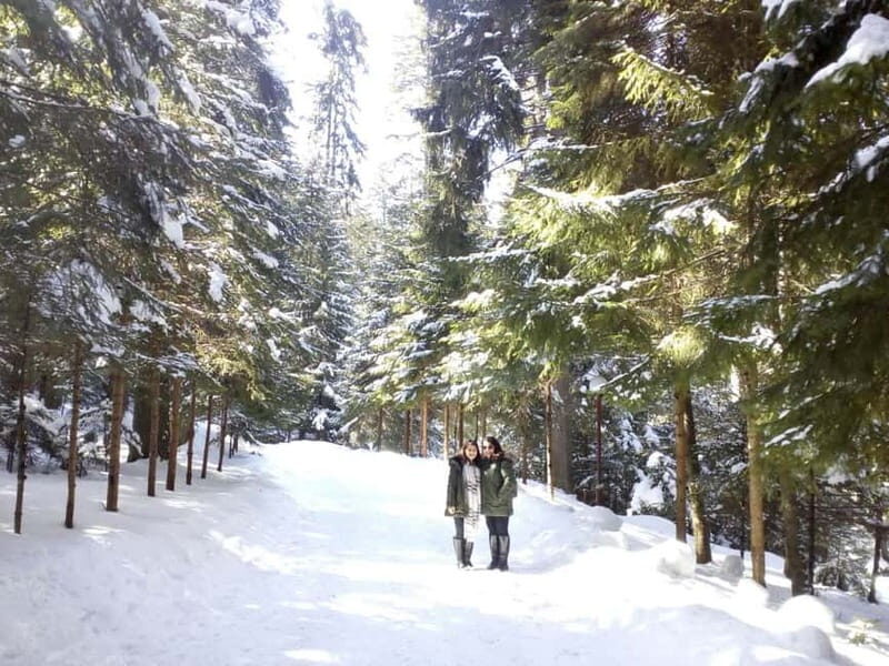 Rila Mountain Winter Day Trip - Embarking on the Rila Mountain Winter Day Trip