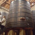 Rioja Full Experience Tour from San Sebastian with Lunch - Medieval Laguardia’s Charm