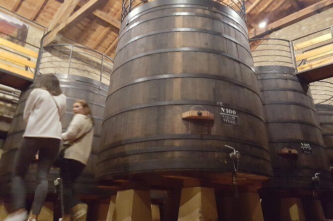Rioja Full Experience Tour from San Sebastian with Lunch - Medieval Laguardia’s Charm