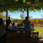 Rioja Wineries and Laguardia Tour with Picnic from San Sebastian - An in-depth look at what makes this Rioja tour worthwhile