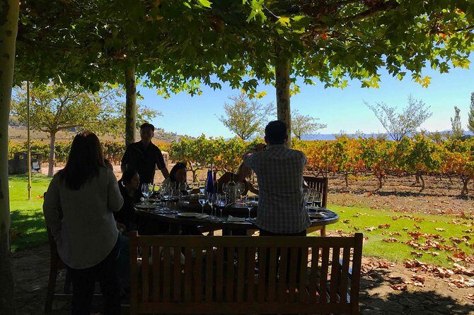 Rioja Wineries and Laguardia Tour with Picnic from San Sebastian - An in-depth look at what makes this Rioja tour worthwhile