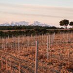 Rivaltes  Secrets of the Terroir and Tasting of Unique Wines! - Summing Up