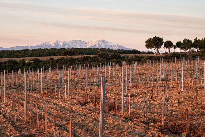 Rivaltes  Secrets of the Terroir and Tasting of Unique Wines! - Summing Up